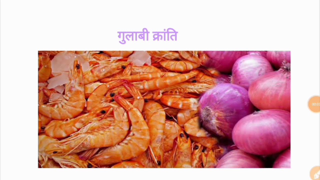 Pink Revolution गुलाबी क्रांति क्या है? गुलाबी क्रांति या पिंक ...