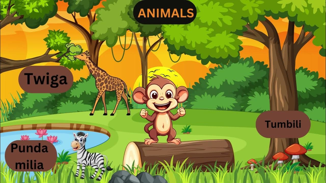 Fun Swahili Learning with Animated Animals! Educational Video for Kids ...