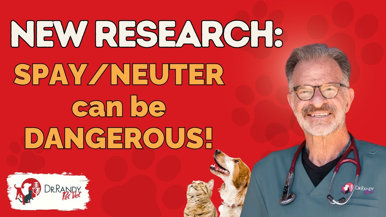 STOP Traditional Spay/Neuter: New Research Changes Everything - YouTube
