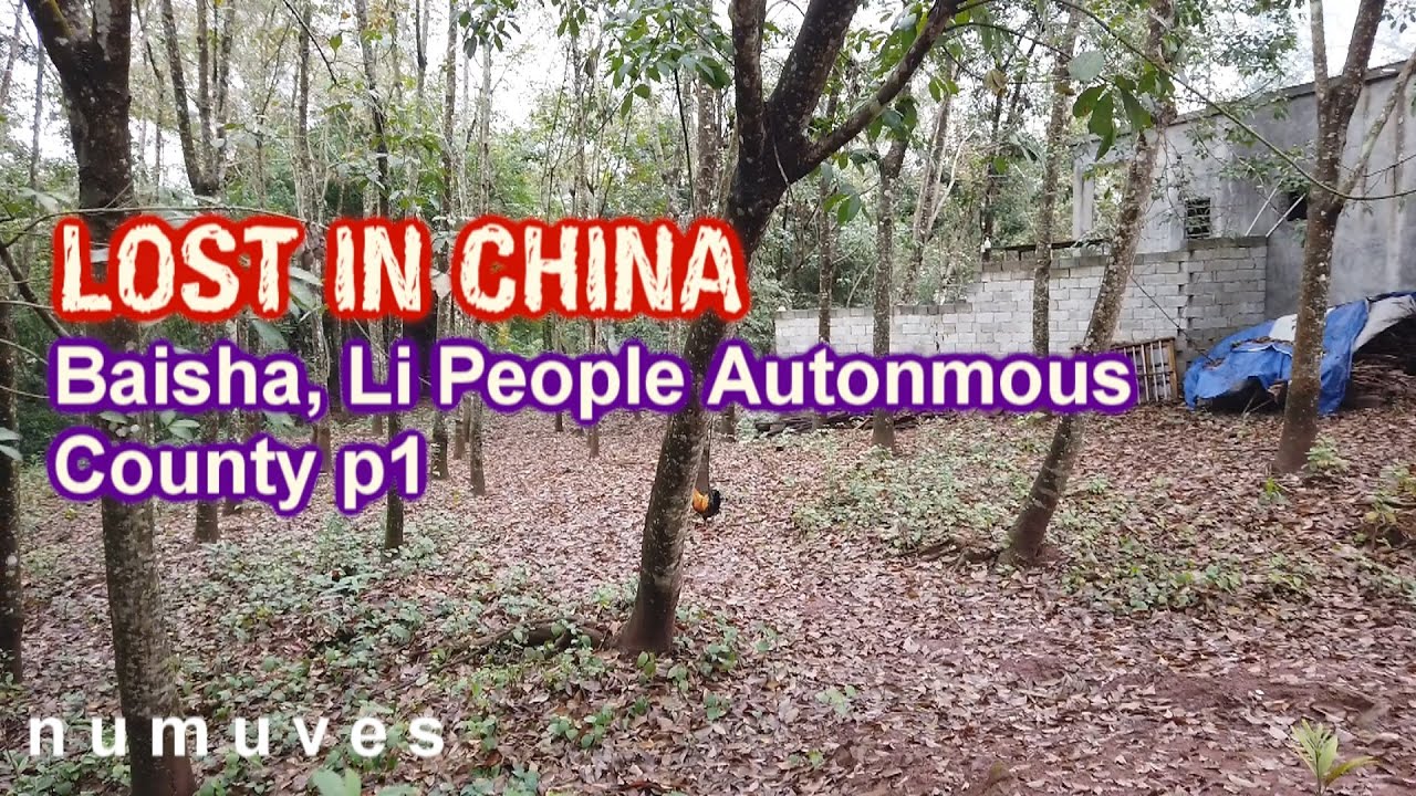 LOST in CHINA | is Serpentza full of s**t? I pick a random place on the ...