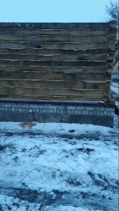 ЛУЧШИЙ УТЕПЛИТЕЛЬ для дубового сруба - YouTube