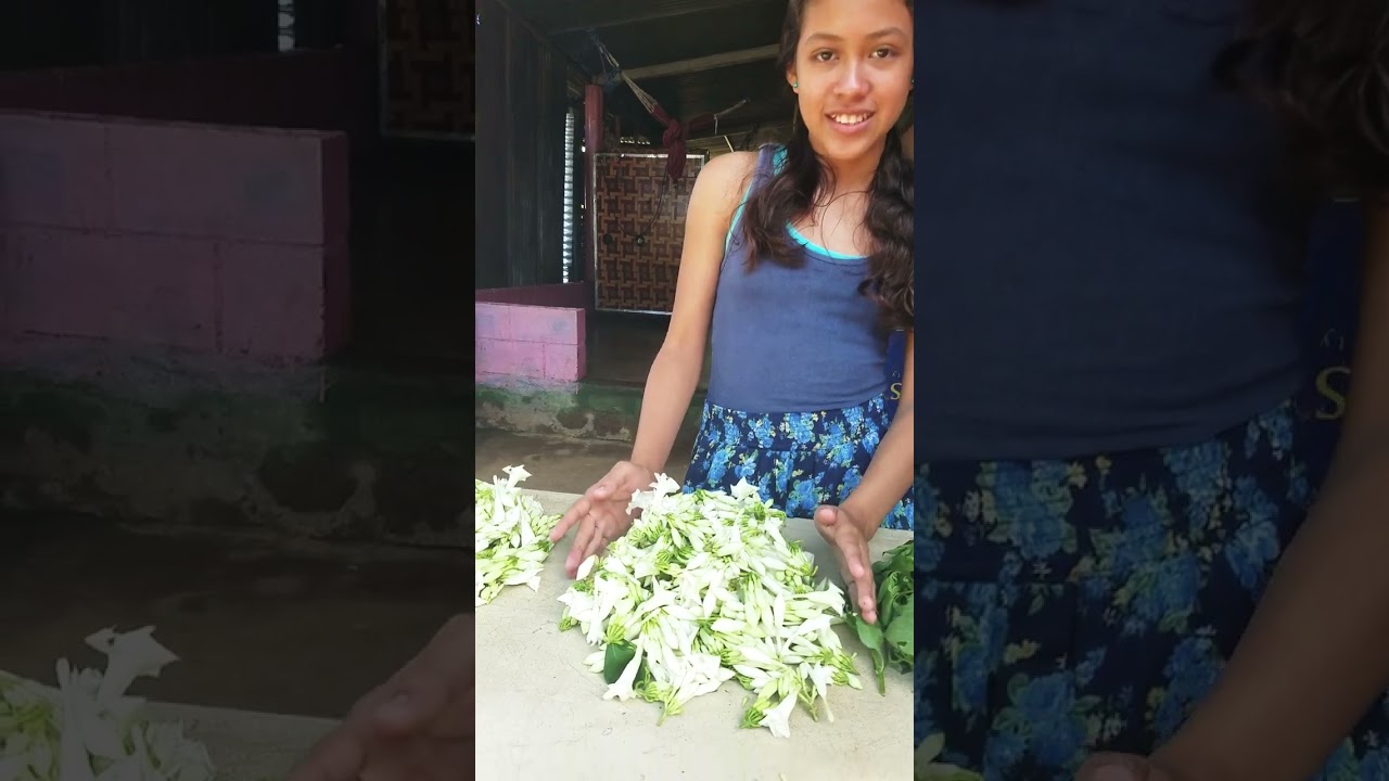 Les presento las famosas flores de loroco#shorts El salvador. - YouTube