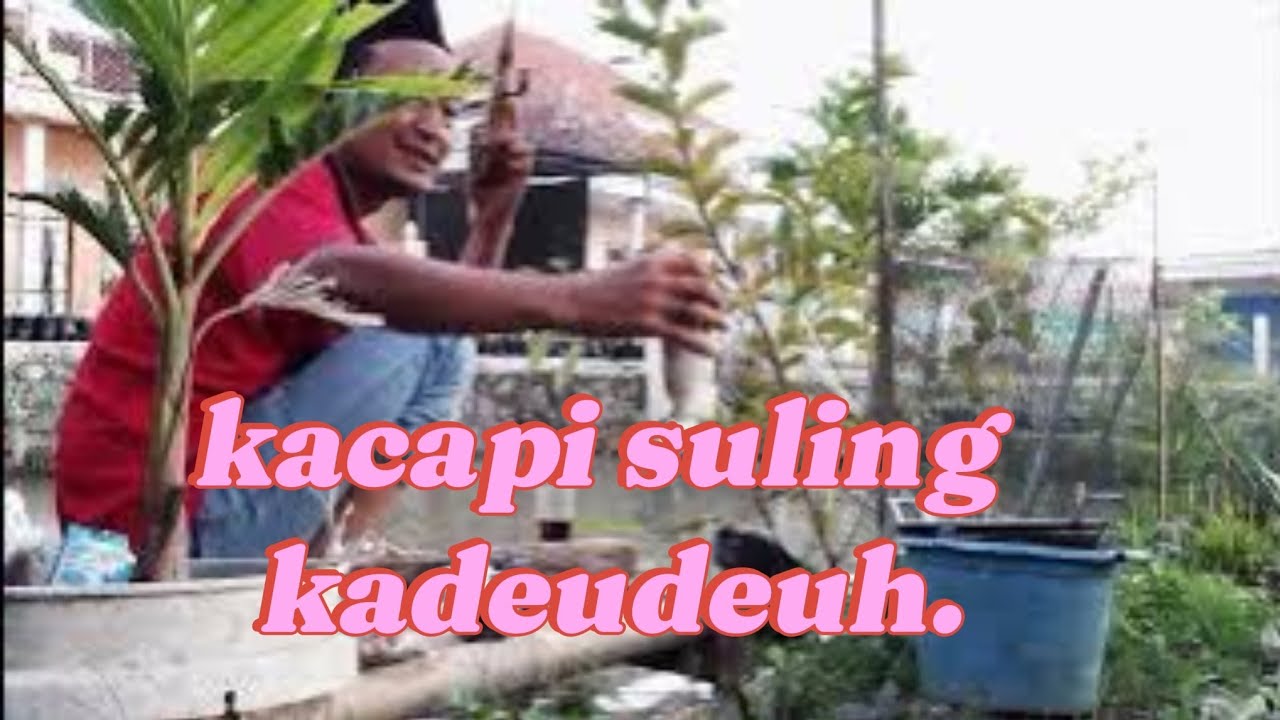 Suasana pagi di cianjur. kacapi suling rasa kadeudeuh. ikut menemani indah nya Alam - YouTube