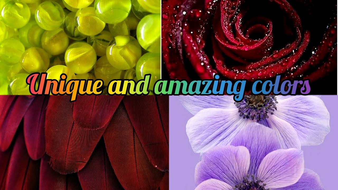 rare colours you probably haven't heard of |unique colors you never ...