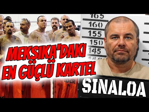 Sinaloa Karteli En büyük MEKSİKA karteli! Gerçek hikayesi belgesel 2025