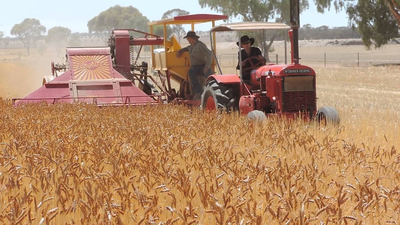 AL Harvester pulled by W30 McCormick Deering tractor - YouTube