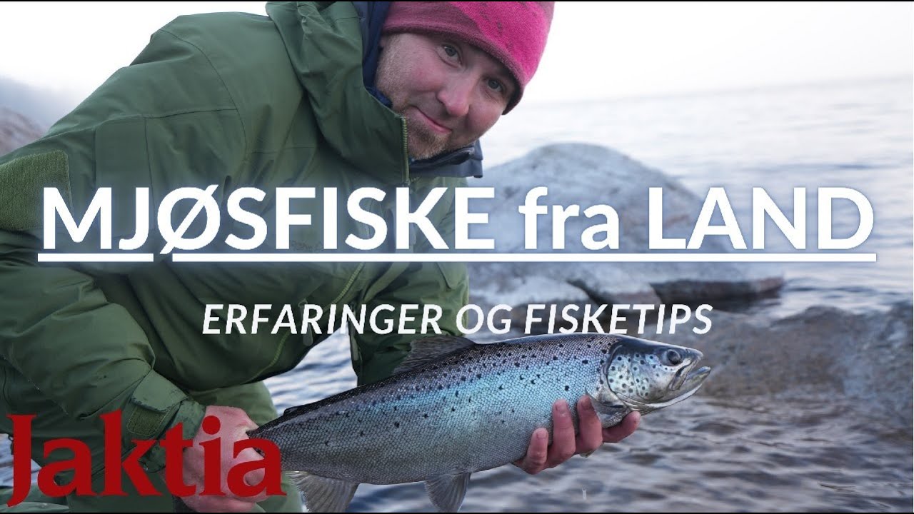 Fiske i Mjøsa fra land - Spinnfiske, tips og erfaringer! - YouTube