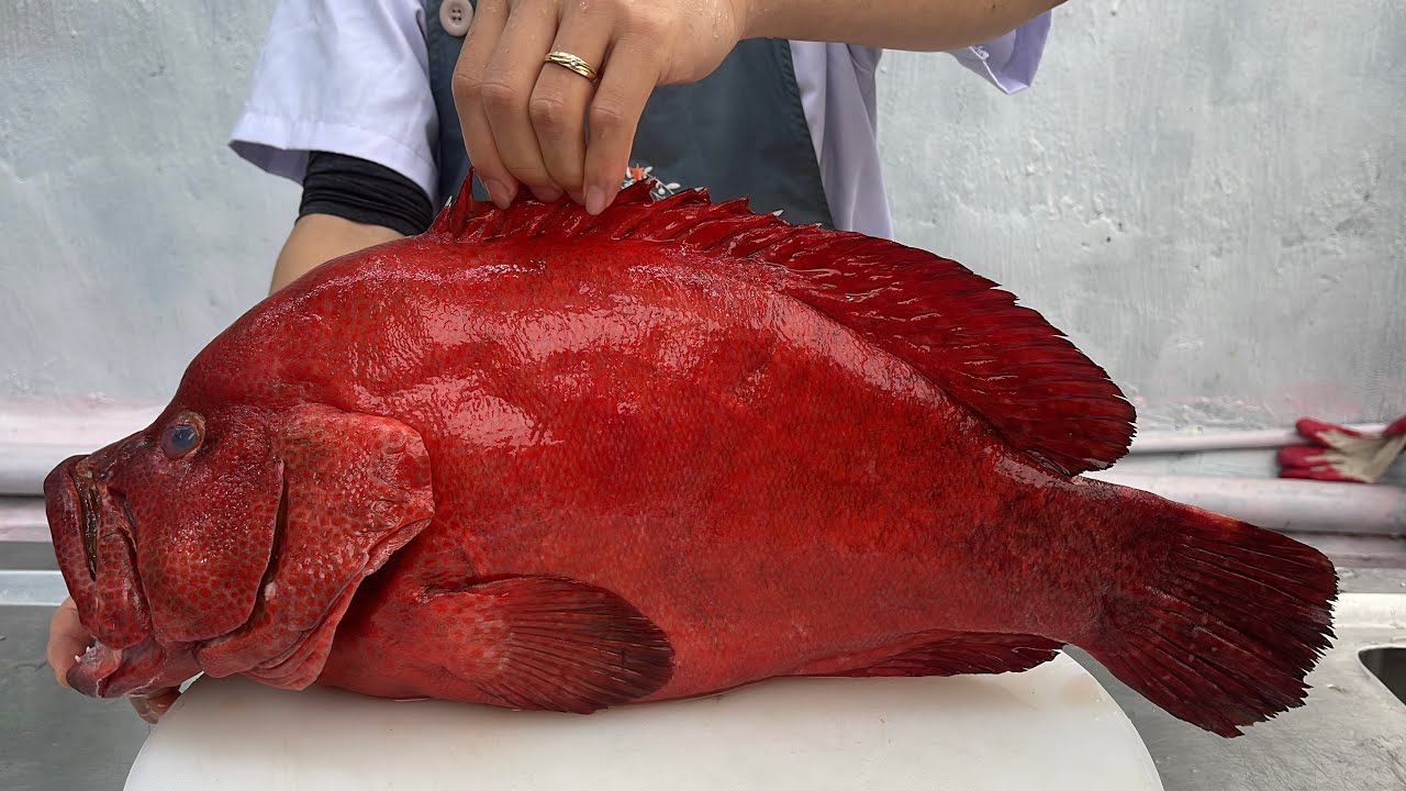 red grouper 5 dishes // vn chef - YouTube
