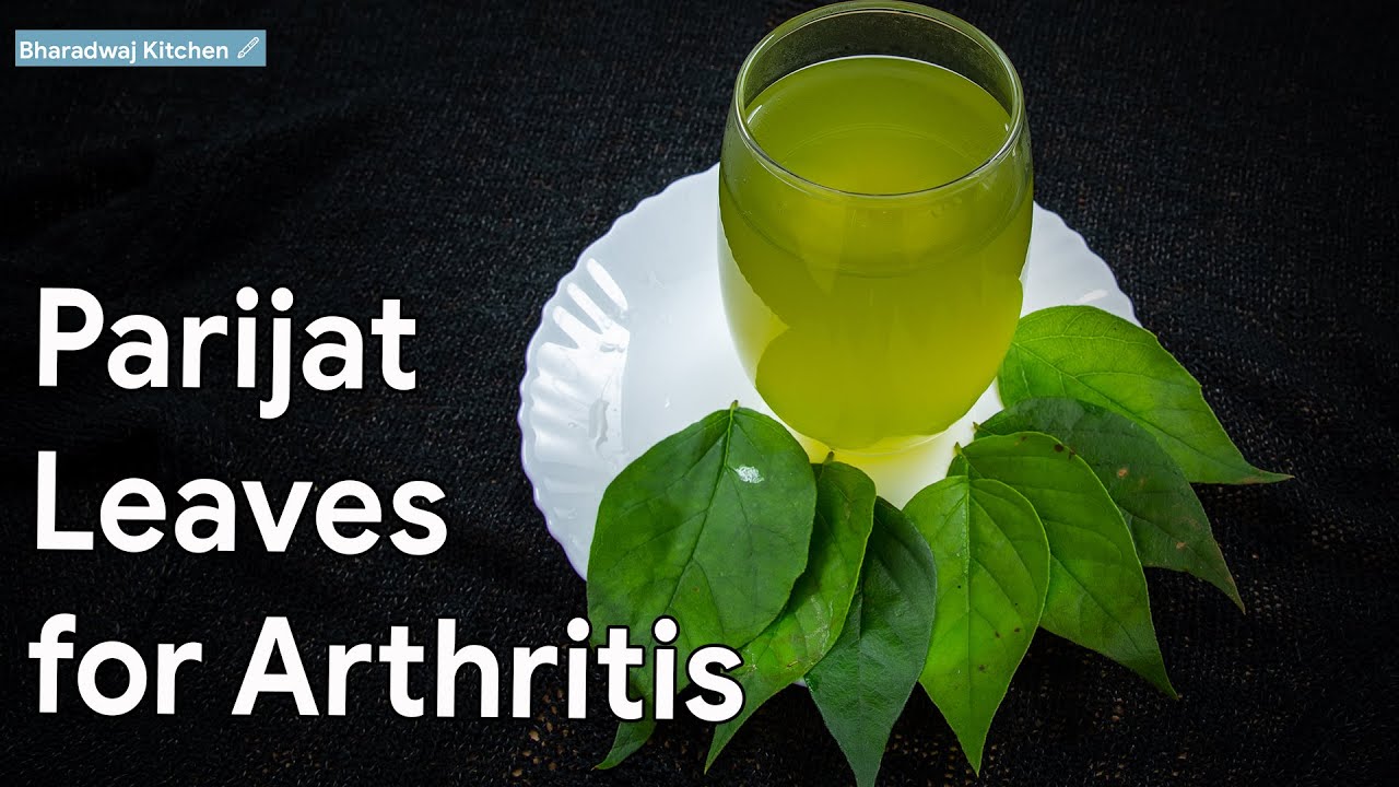 parijat leaves for arthritis | parijat leaves benefits | health ...