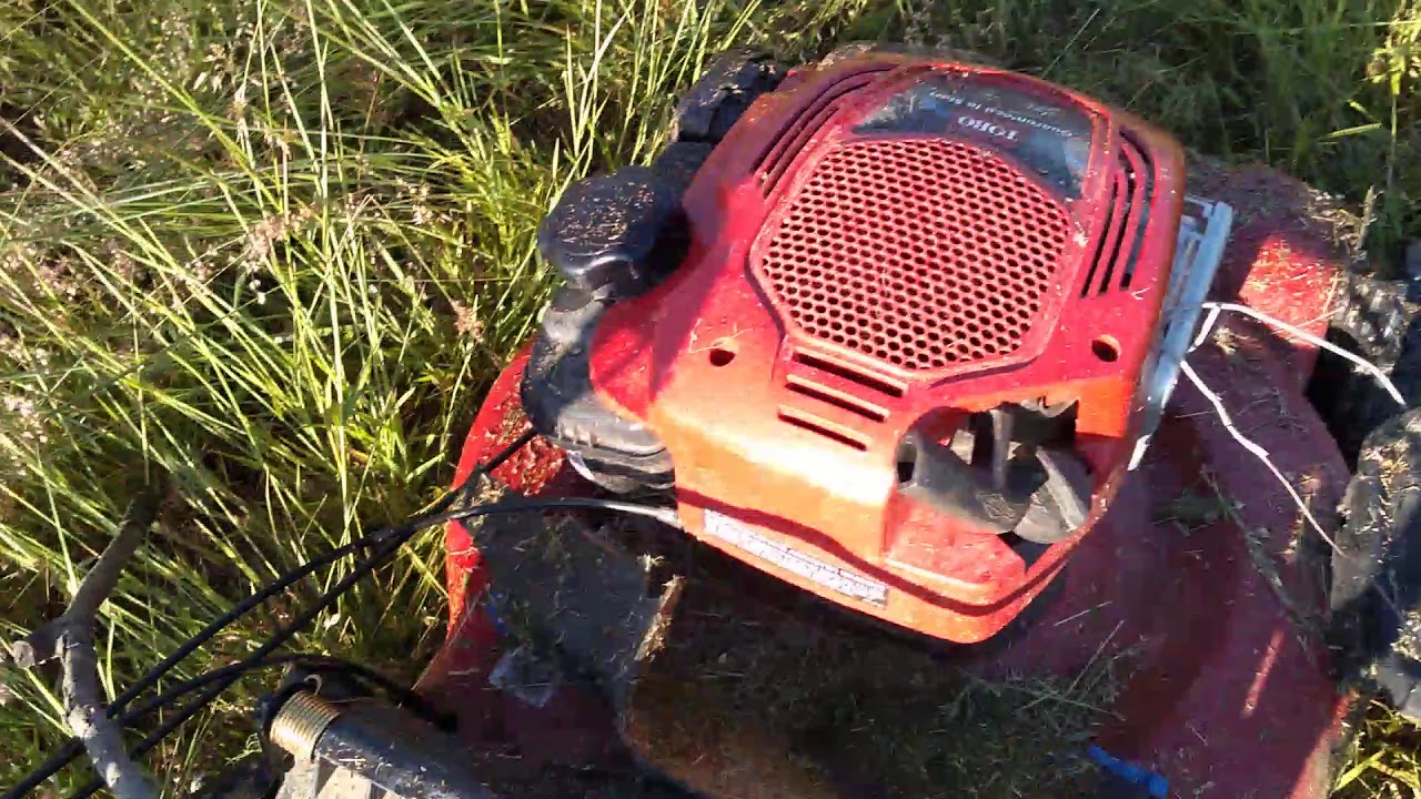 Cómo podar pasto alto o grande con podadora de cesped - YouTube
