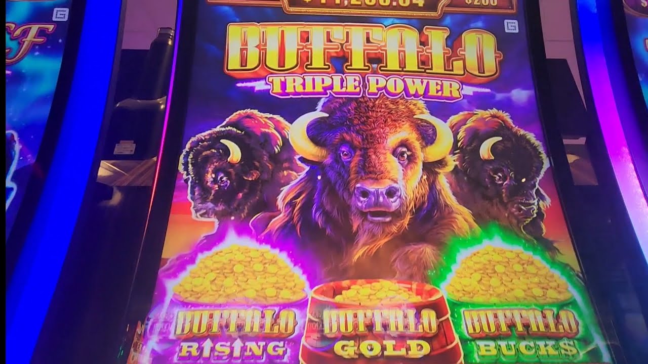 MY NEIGHBOR GIVES ME THE LUCK ON BUFFALO TRIPLE POWER! HARD ROCK AC!💥 # ...