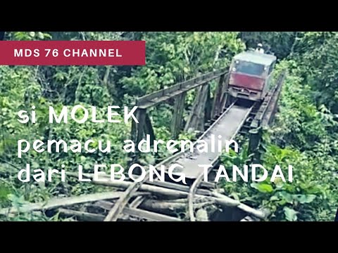 si MOLEK dari Desa LEBONG TANDAI Bengkulu - YouTube