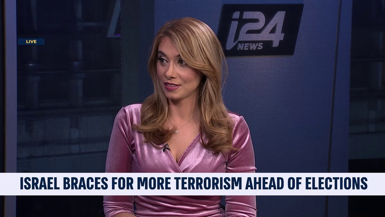 Harley Lippman on i24 News - YouTube
