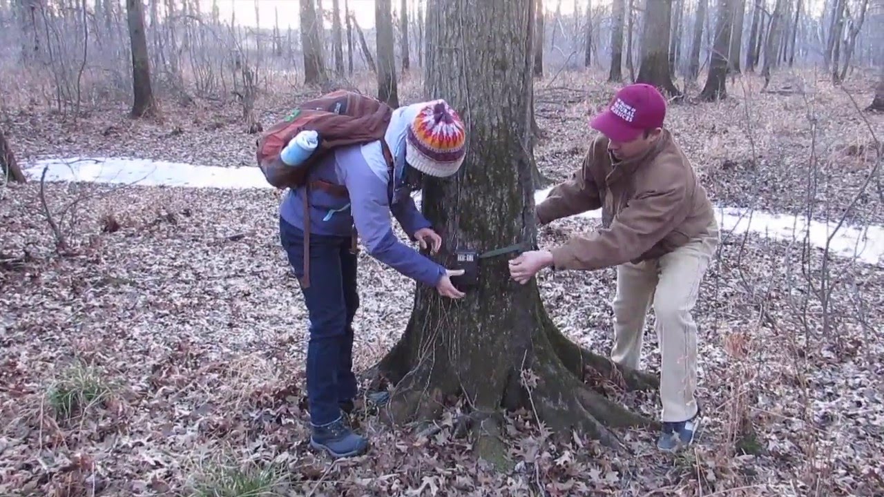 Scouting Arcadia Wildlife Sanctuary and Trail Camera Setup, January ...