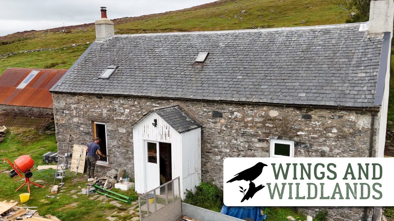Just Keep Swimming! | Scottish Homestead Renovation Update | Wings And ...