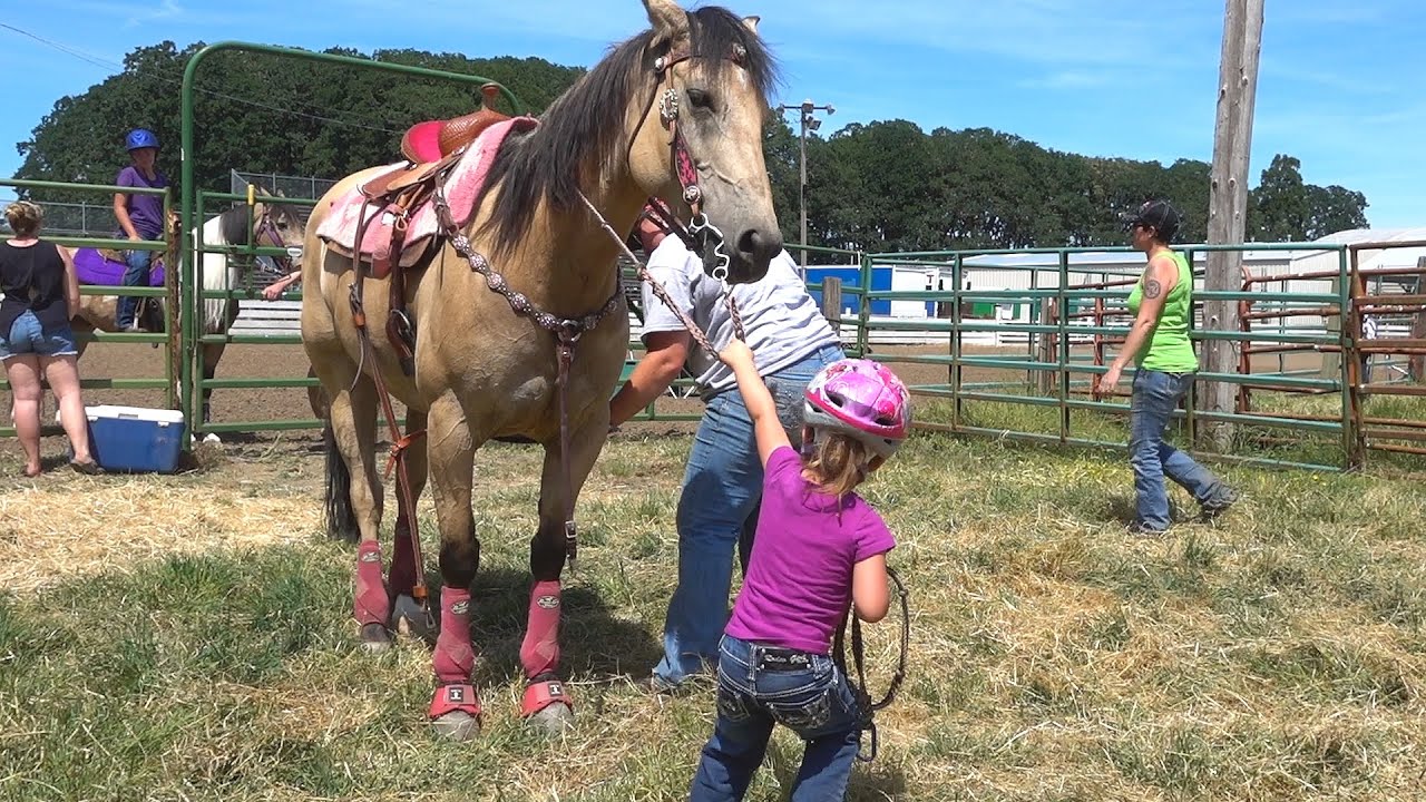 3-year-old-vs-horse-youtube