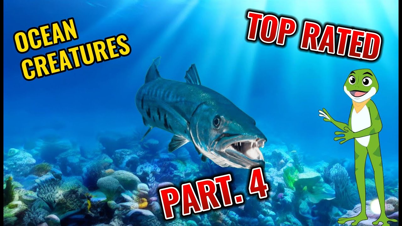 CARTOON ABOUT SEA CREATURES part. 4 (Mako Shark,Giant Squid,Barracuda ...