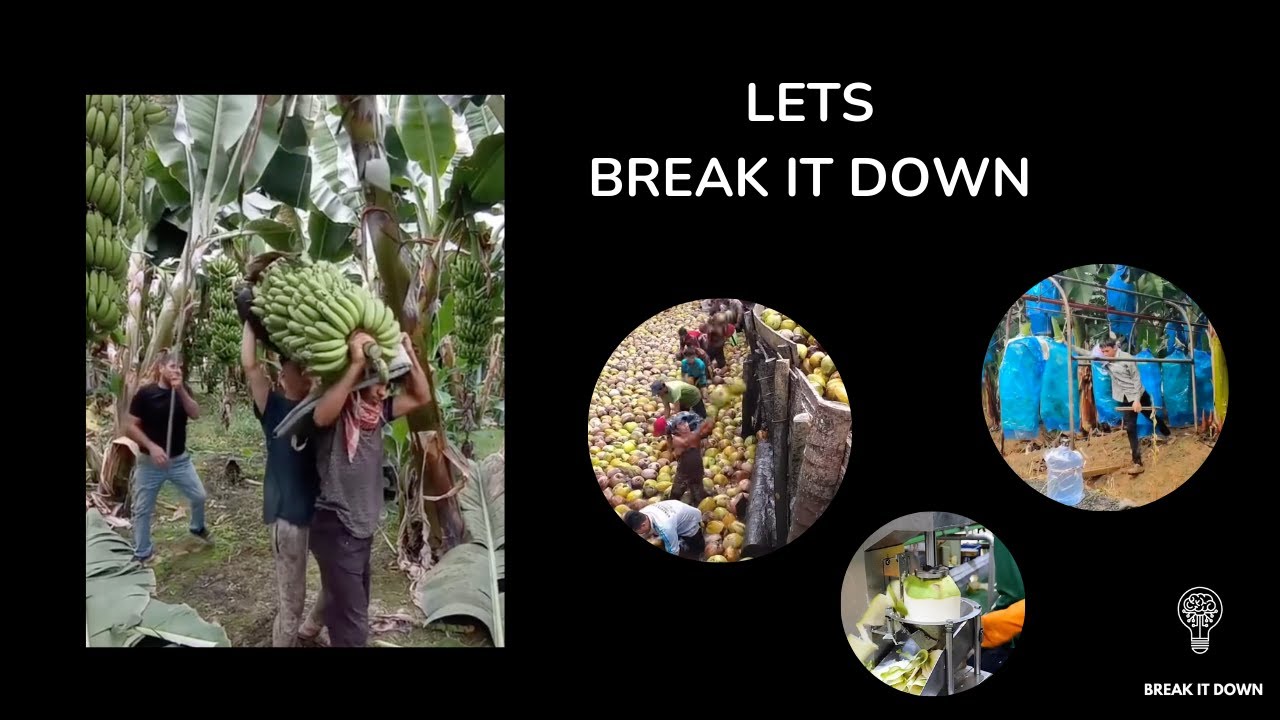 Your Weekly Breakdown Vol 4 - YouTube