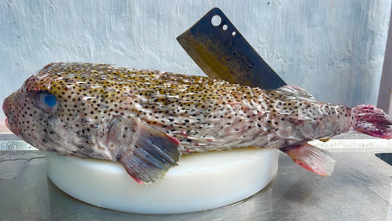 7kg porcupine puffer fish, 6-dish recipe for porcupine puffer fish in ...
