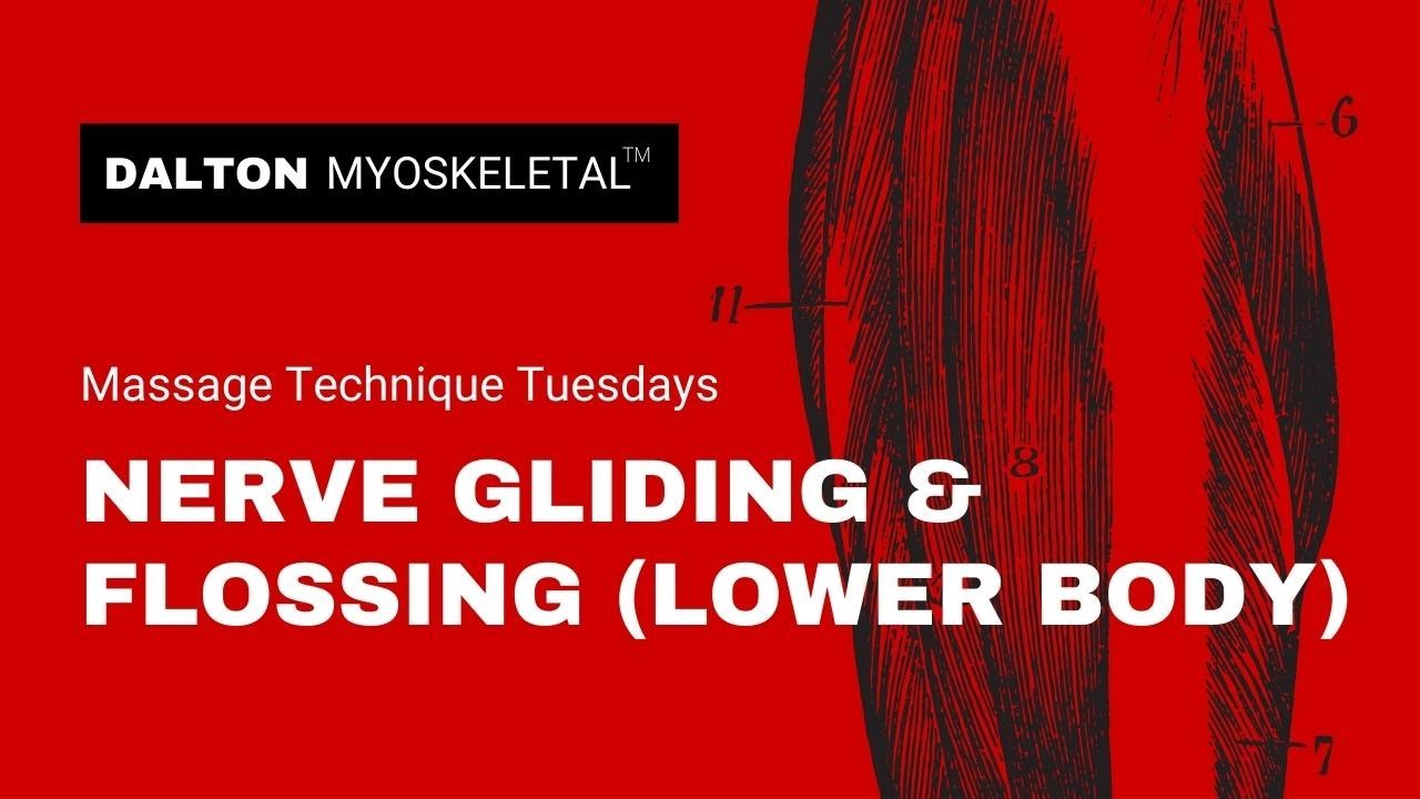 Nerve Gliding and Nerve Flossing Manual Therapy for Lower Body - YouTube
