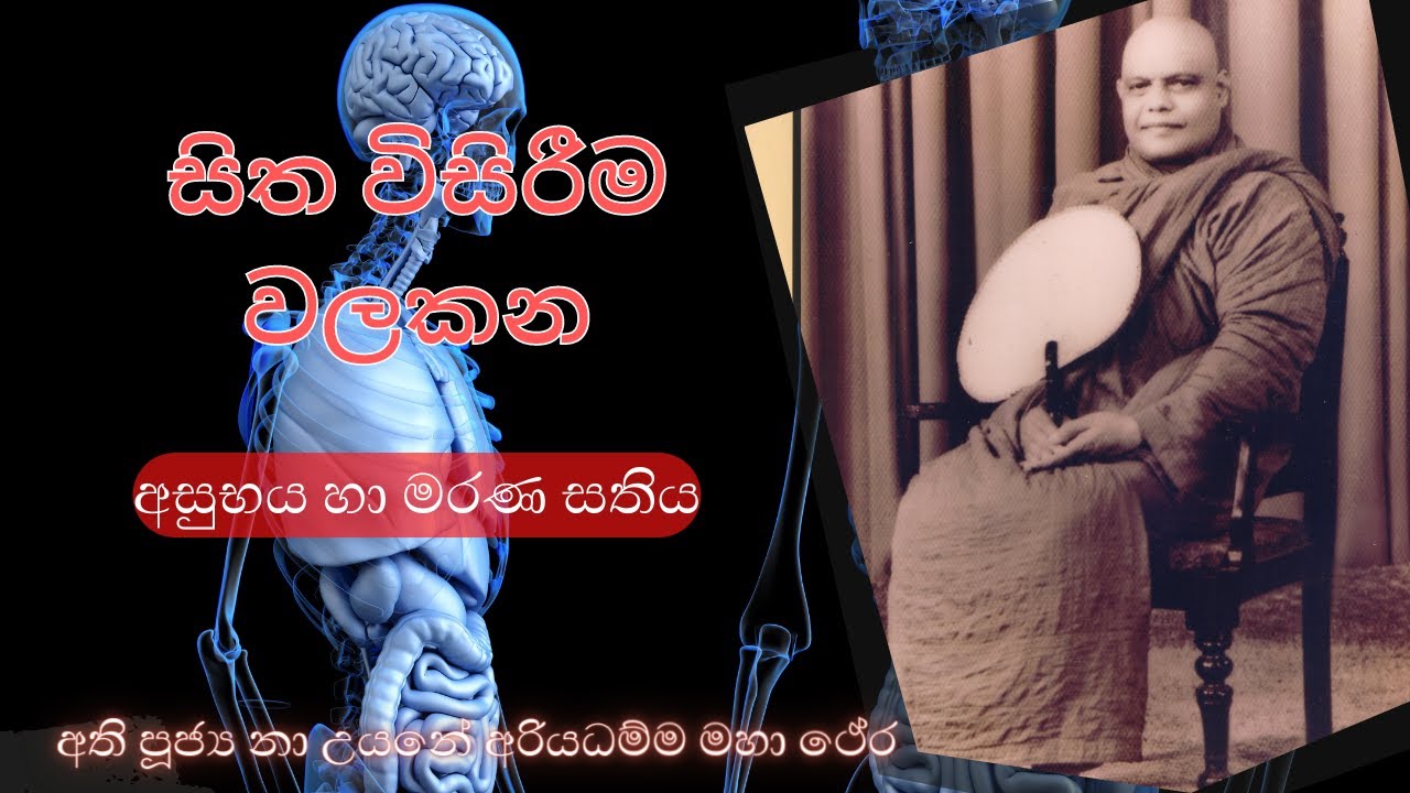 meditation | අසුභ භාවනාව | Asuba bhawanawa-5 | නා උයනේ අරියධම්ම ථේර ...