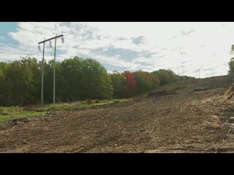 Don Carrigan answers questions after CMP court ruling - YouTube