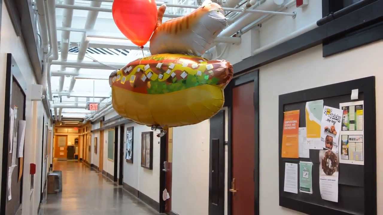 Hot Dog + Cat blimp - YouTube