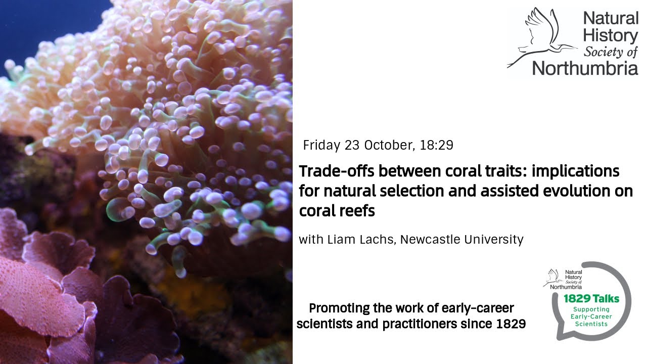 Trade-offs between coral traits - implications for natural selection ...