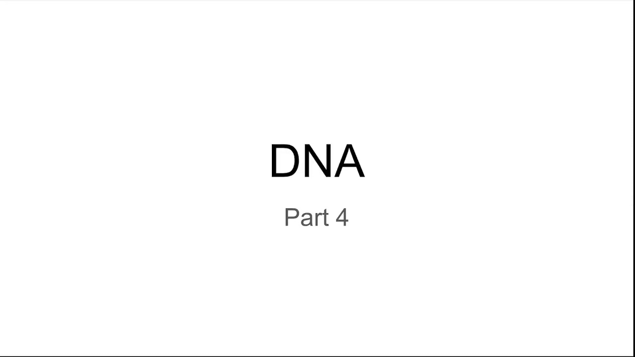 Tg Captions-DNA-Part 4 - YouTube