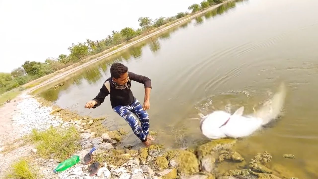 Fish hunting || Amazing fishing - YouTube