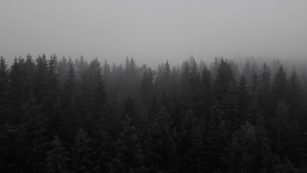 Skuggar by Keylonta | New Music Video | Best Music Video of 2021 | New ...