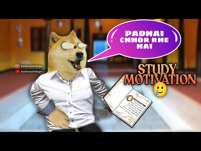 Doge Meme Studying