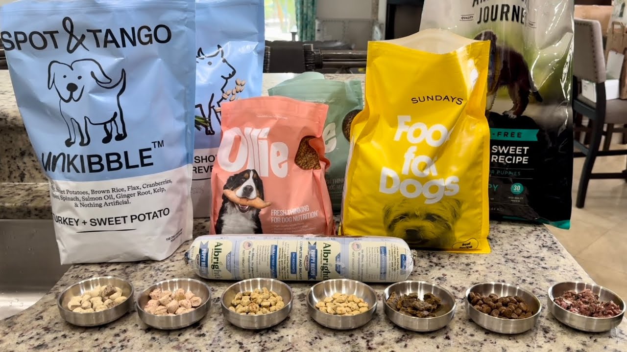 We Mix Premium Dog Food Brands | Lagotto Romagnolo - YouTube