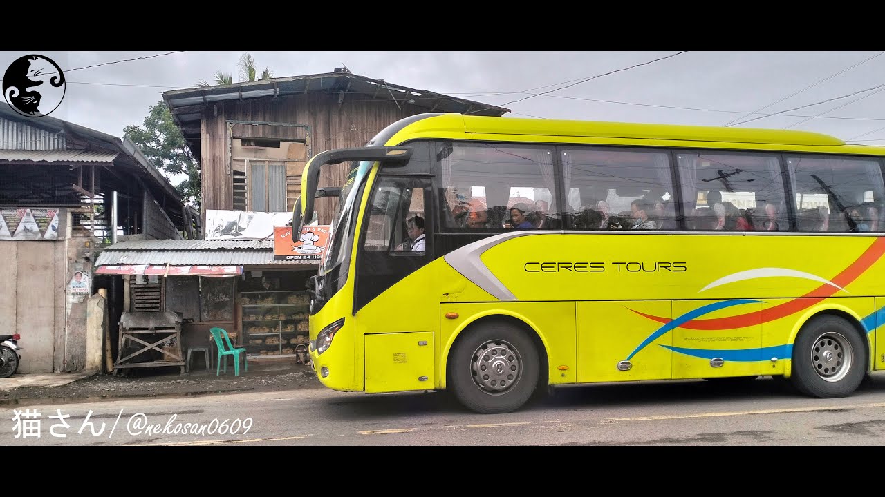 [Ceres Buses in Action] Ceres Tours 54015 - King Long XMQ6871CY (Neko ...
