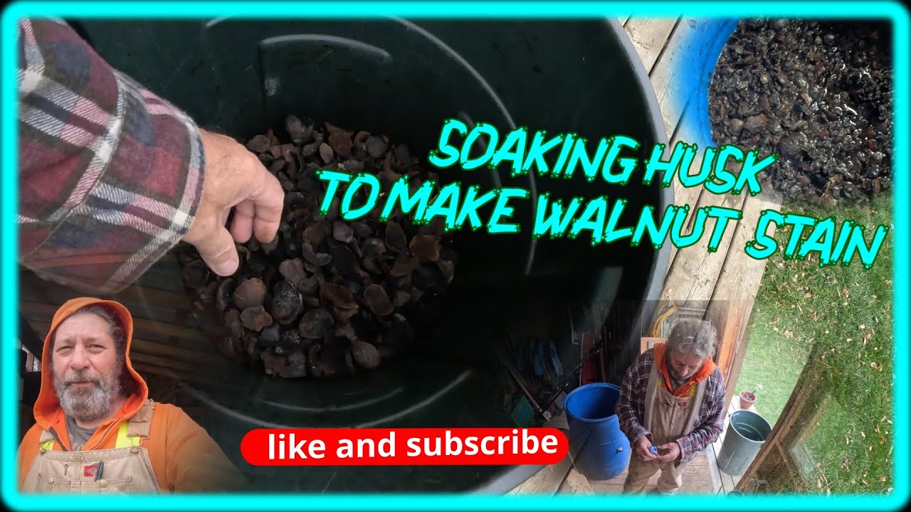 Soaking the Husk for Walnut Stain - YouTube