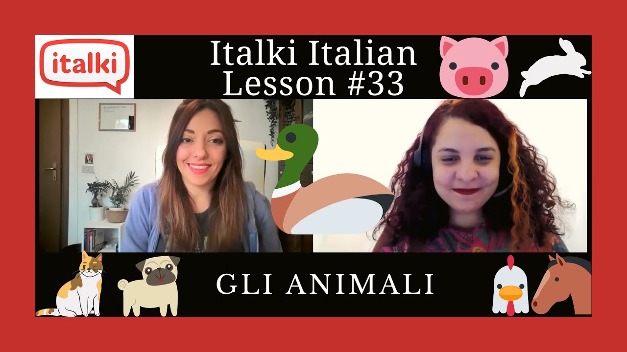 gli animali | Italian Lesson #33 - YouTube