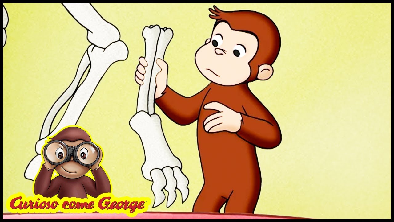 Curioso Come George 🐵Un puzzle in 3D 🐵Cartoni per Bambini 🐵George la ...
