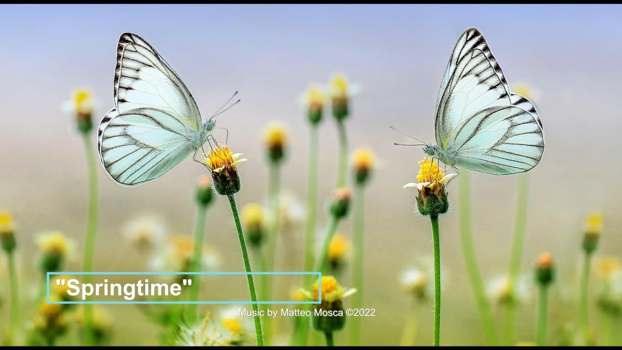 "Springtime" - Music by Matteo Mosca - YouTube