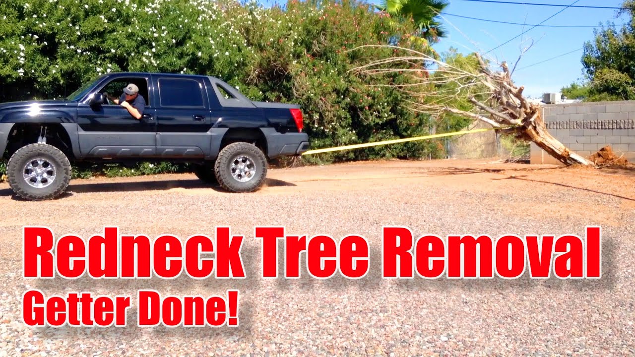 Redneck Tree Removal - YouTube