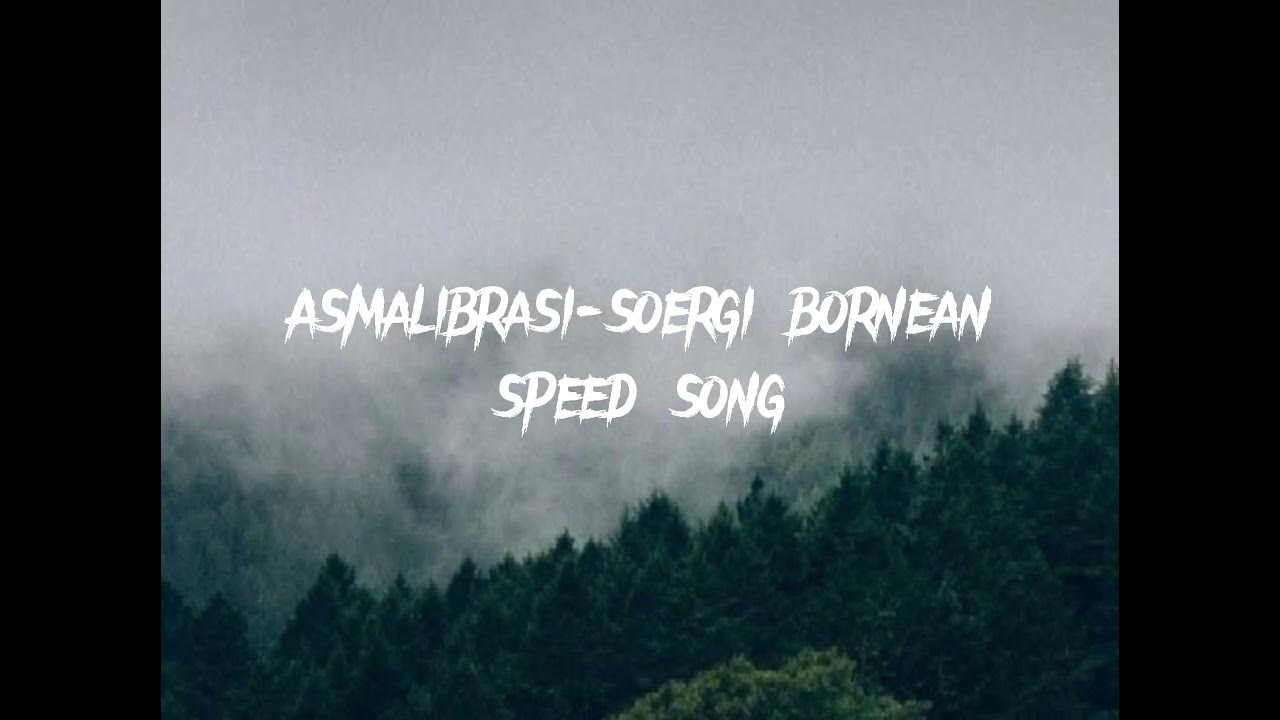 Asmalibrasi-soergi bornean speed song version🐦. - YouTube