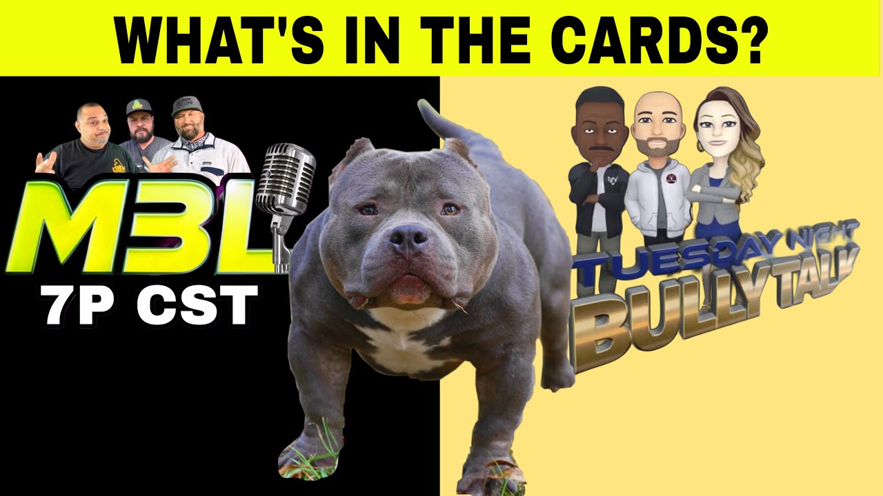 Monday Bully Live Crew Welcomes Tuesday Night Bully Talk Crew - YouTube