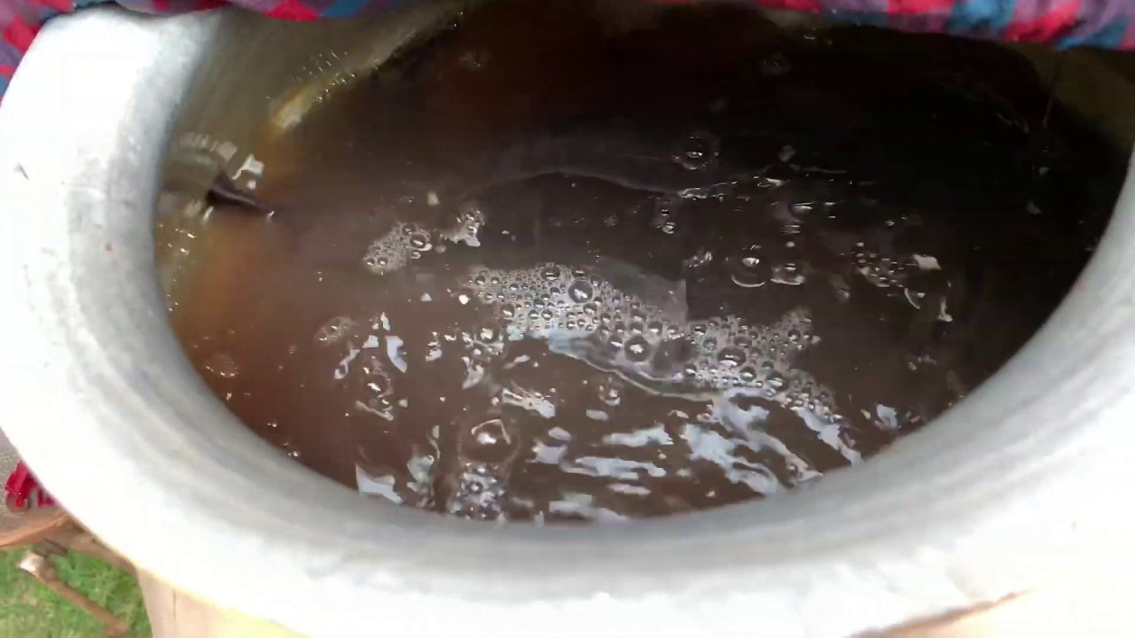 Live Cat fish (Mungri fish, Magur fish) Fish cutting Skills - YouTube