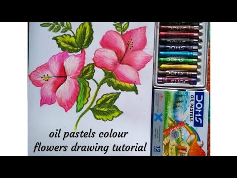 oil pastels drawing for beginners.oil pastel flower how to draw a ...