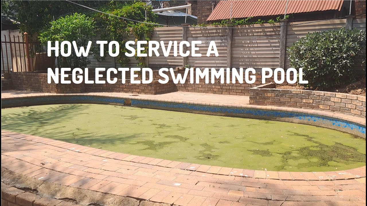 How to service a neglected swimming pool - YouTube