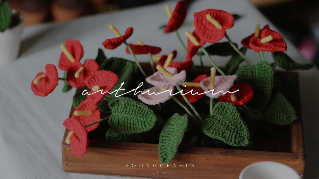 making a Anthuriums flower with yarn - YouTube