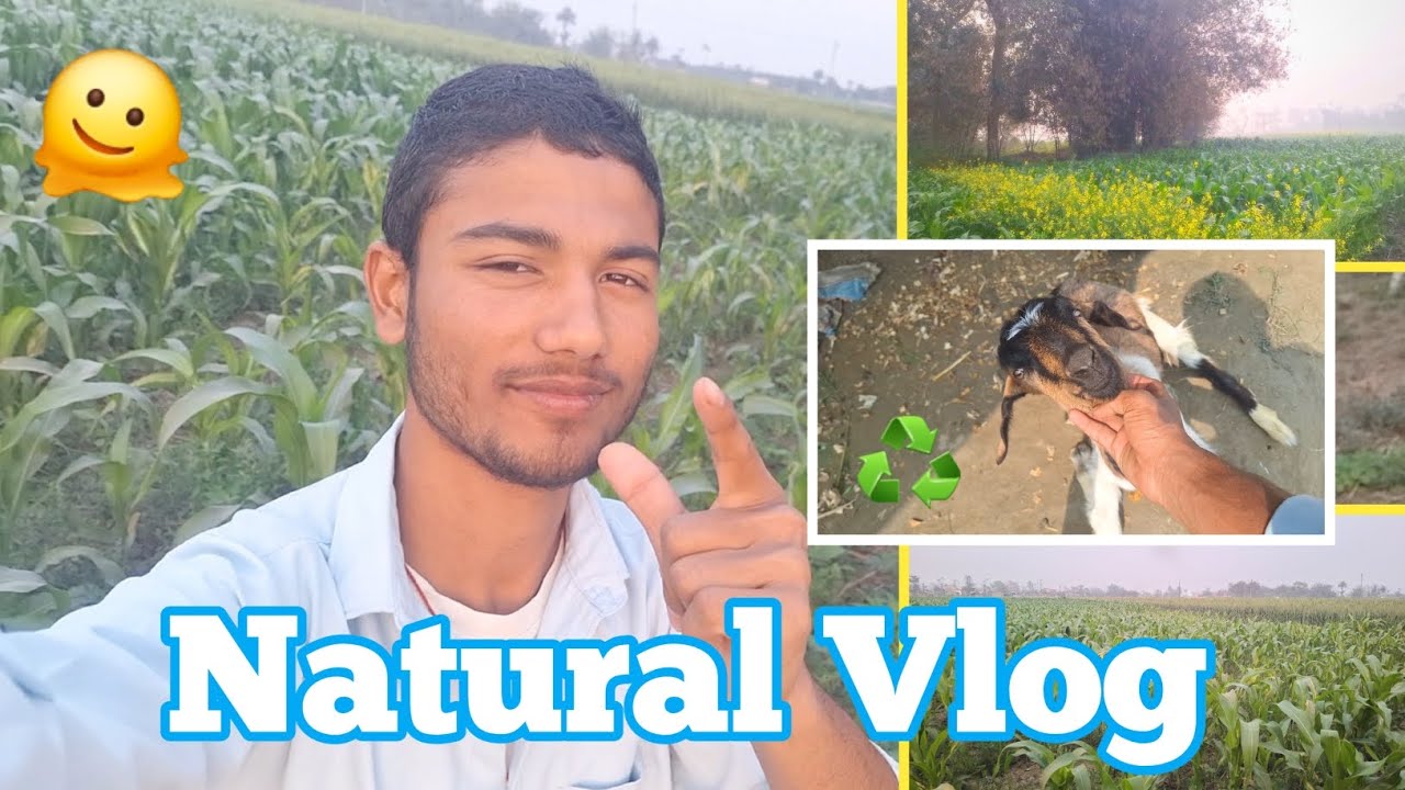 Natural Vlog | Goat Masti Vlog | Gagan Arya - YouTube
