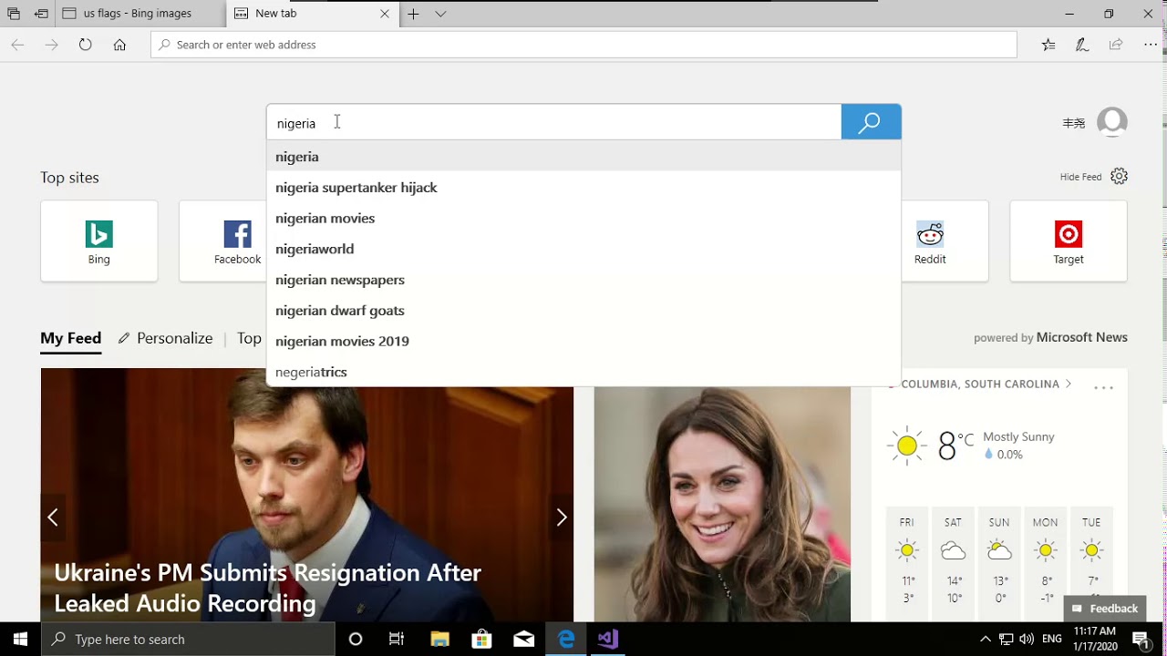 Visual Basic Picture Box Reset window layout Visible property and exit ...