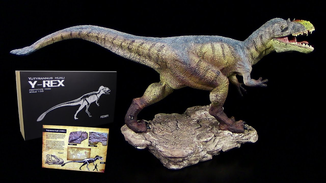 Rebor ™ - Y-Rex / Yutyrannus huali - Unboxing / Re-Upload - YouTube