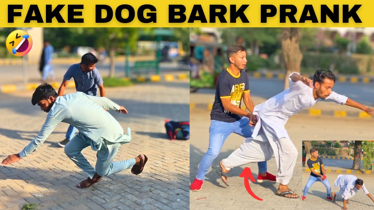 FAKE DOG PRANK||😅 KUTAA BHAGAYA PUBLIC PA 😂 @Crazypk9876 - YouTube