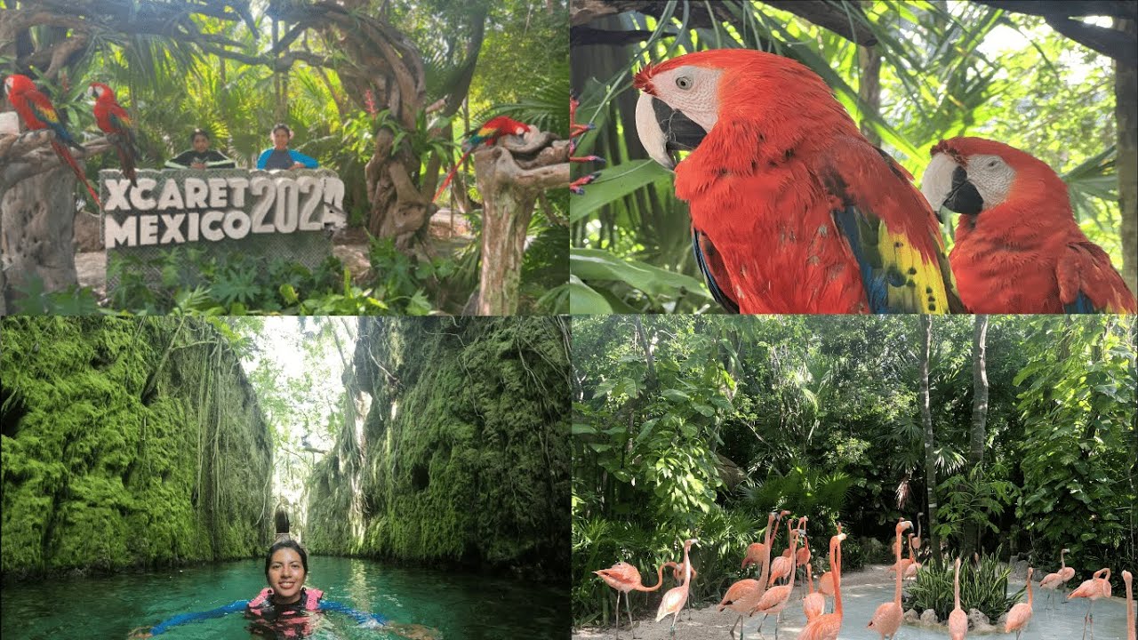 Un recorrido por el Parque Xcaret, recorriendo sus hermosos ríos ...